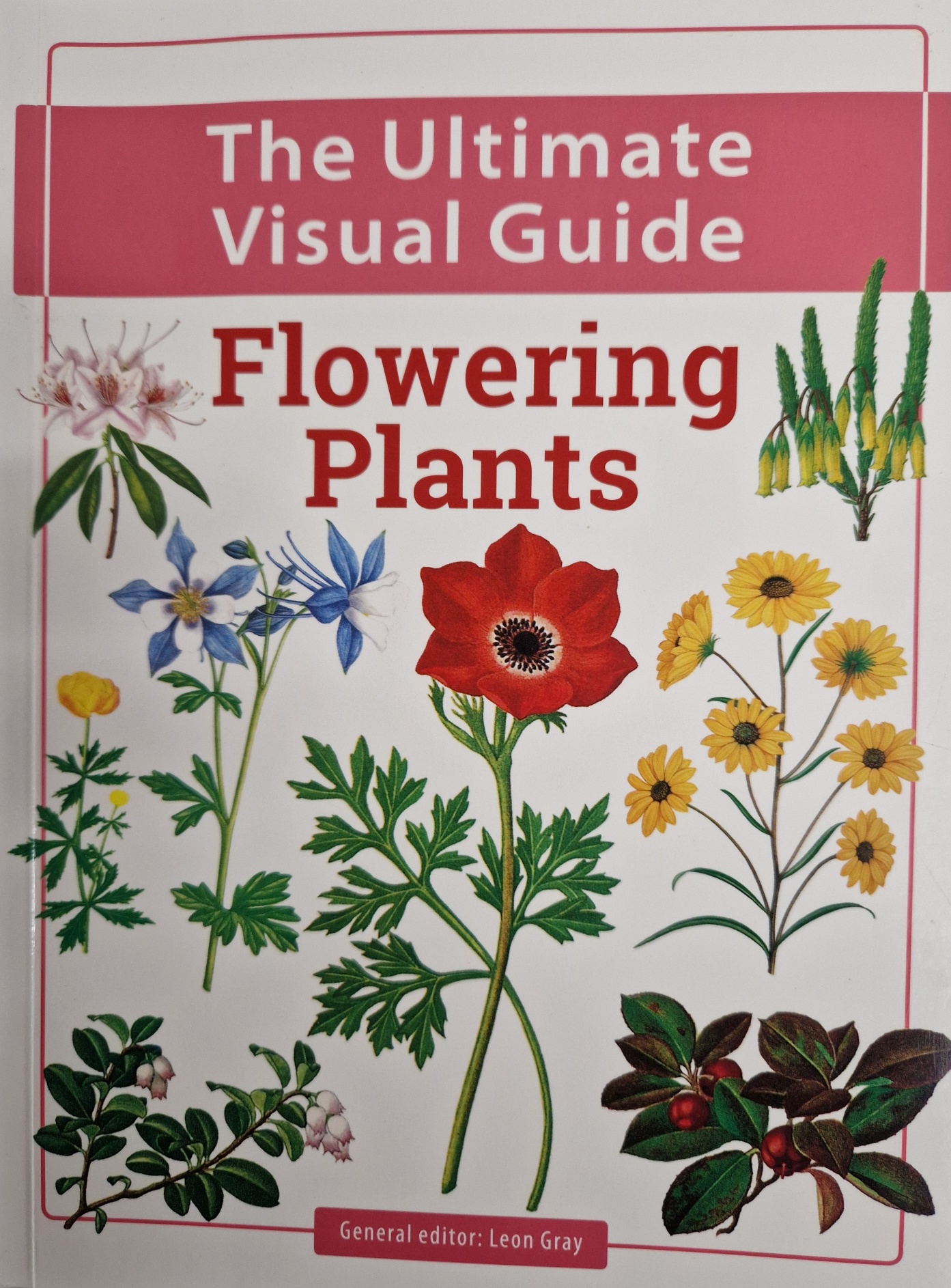 Flowering Plants: Ultimate Visual Guide - Leon Gray : : Bill & Ben Books